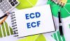 Entenda o que é ECD e quais as diferenças com a ECF