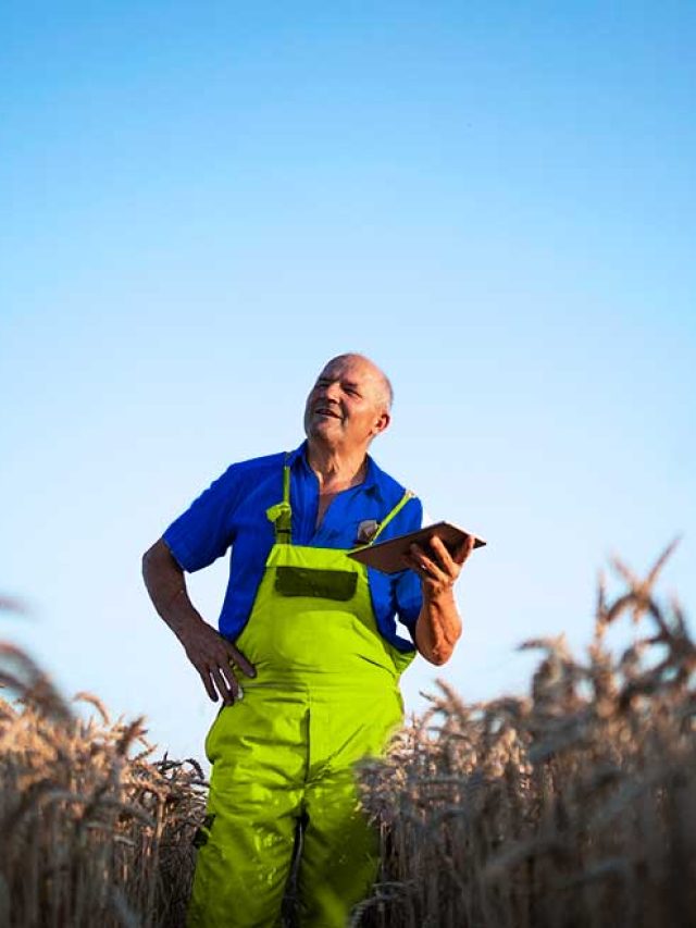 NFP-e 2023: obrigatoriedade de emissão é adiada – Emitte Blog